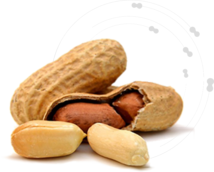 maní – Grupo Ckoos